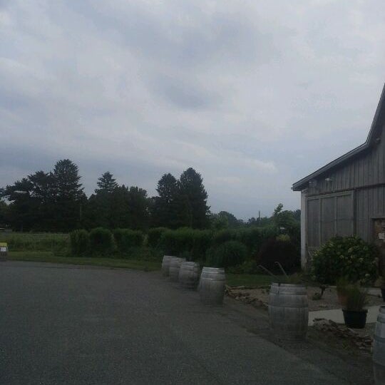 Photos at Va La Vineyards - 9 tips