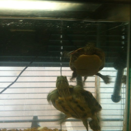 Photos at Boeing Philadelphia - Ridley Park, PA