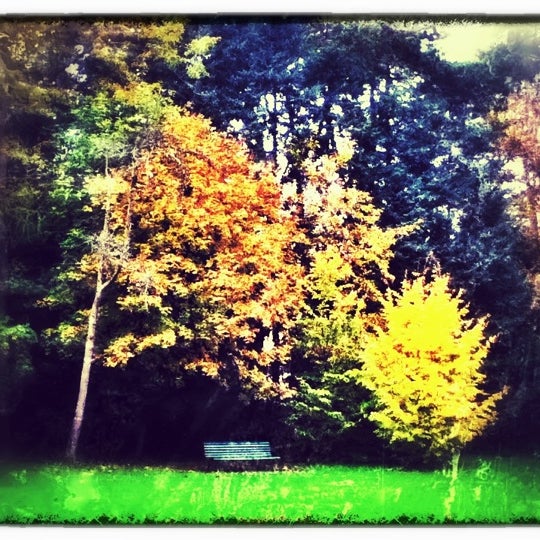 Photos at Parc Bertrand - Park