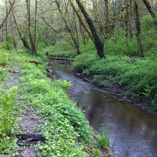 Tryon Creek State Park - State / Provincial Park in Portland