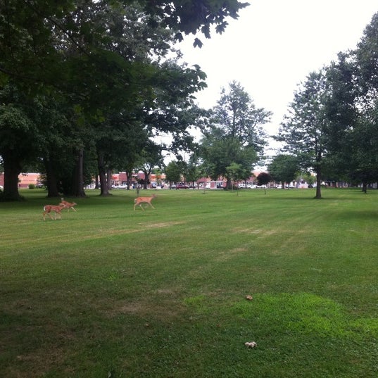 Photos at Kenneth J Sims Park - Euclid, OH