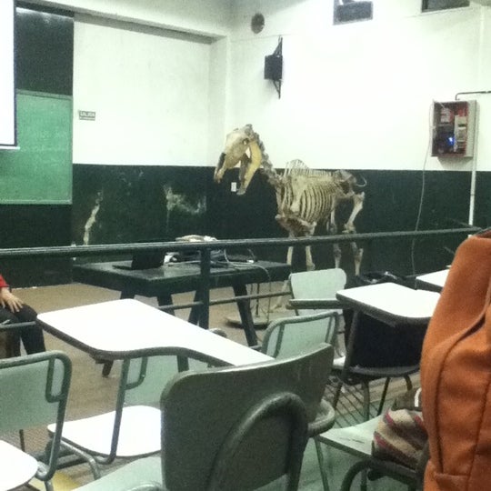 Photos at Facultad de Ciencias Veterinarias (UBA) - College Science ...