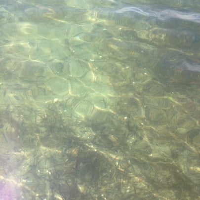 Waupaca Columbia Lake