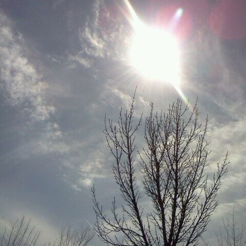 Photos at Ibach Park - Sherwood - Tualatin South - Tualatin, OR