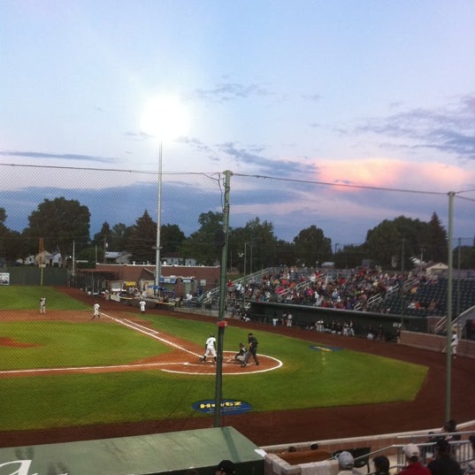 Melaleuca Field - 8 tips