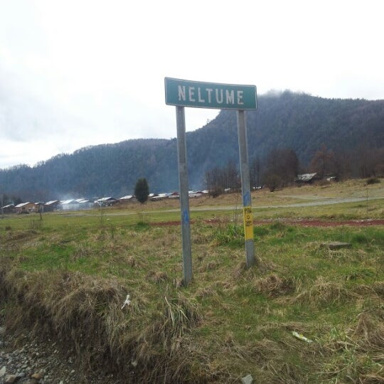 Neltume - Mountain
