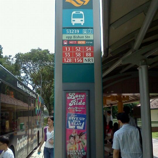 Bus Stop 53239 (Opp Bishan Station)