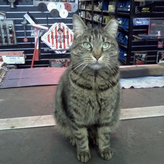 Spring Tech Corporation - Car Dealership in Hunts Point