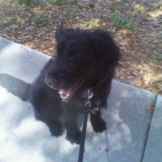 Gocio Elementary School - Sarasota, FL