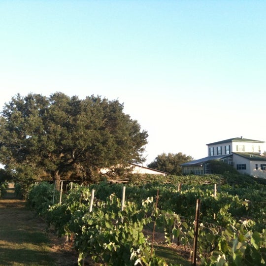Photos at The Oak Valley Vineyards - 6 tips from 154 visitors