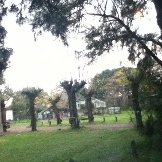 Photos at Facultad de Ciencias Veterinarias (UBA) - College Science ...