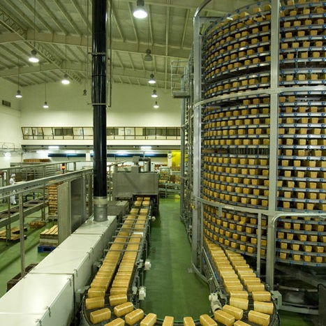 Gardenia Bread Plant