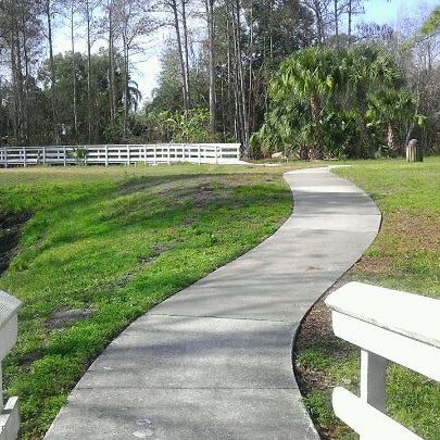 Photos at Demetree Park - Orlando, FL