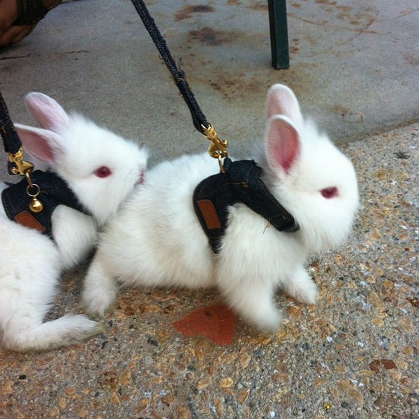 Photos at Regal Edwards Valencia & IMAX - Newhall - 43 tips from 3067 ...