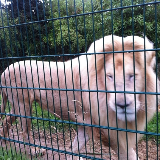 Isle Of Wight Zoo - Sandown, Isle of Wight