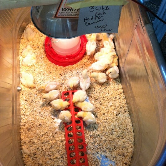 Runnings Farm & Fleet - Hardware Store in Dickinson