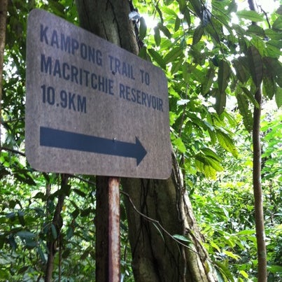 Senapang Trail | Rifle Range Nature Park - Hiking Trail in Singapore
