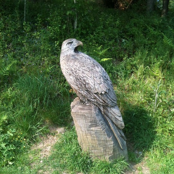 Garwnant Visitor Centre - 4 tips from 47 visitors