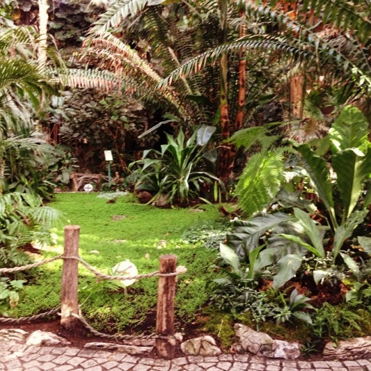 Photos at Vlindertuin - Zoo Exhibit in Antwerpen