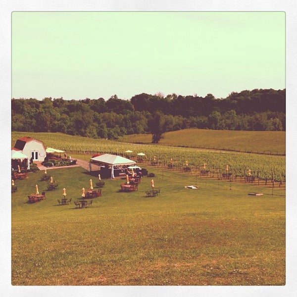 Photos at Three Fox Vineyards - Winery in Delaplane