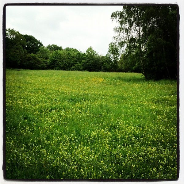 Canley Ford - Canley - Coventry, Coventry