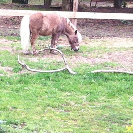 Joe Lato Farm - Newtown, CT