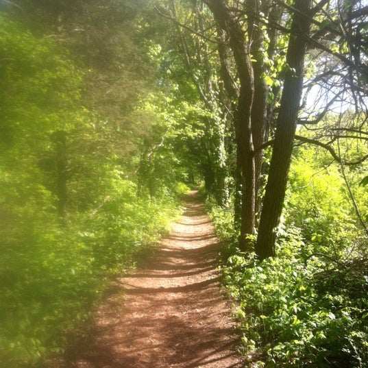 Cotton Field Trail At Stones River Battlefield - Hiking Trail in ...