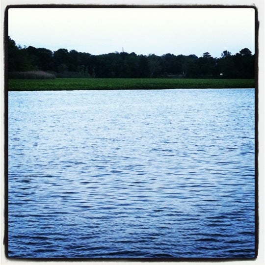 Nanticoke River Marine Park - Harbor or Marina