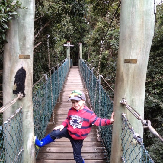 Photos at O'Reilly's Tree Top Walk - Hiking Trail