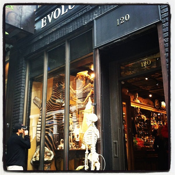 Photos at The Evolution Store (Now Closed) - SoHo - 47 tips