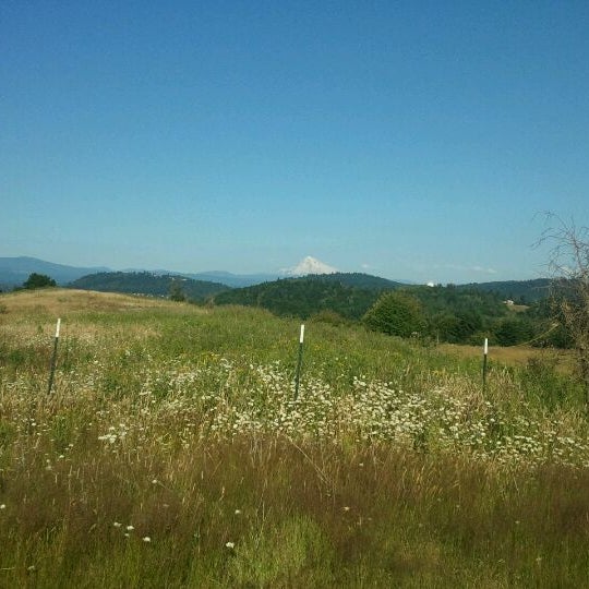Powell Butte Nature Park - 13 tips from 822 visitors