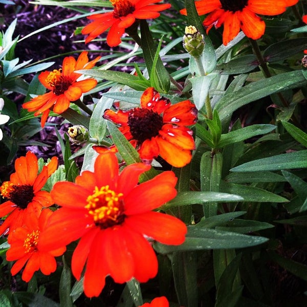 Suffolk County Police - 1st Precinct Headquarters - Police Station in ...