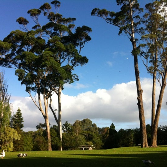 Auckland's Best Parks