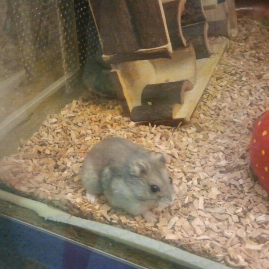 Faunatar - Pet Supplies Store in Vantaa