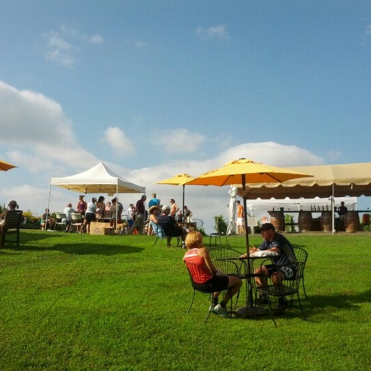 Photos at Three Fox Vineyards - Winery in Delaplane