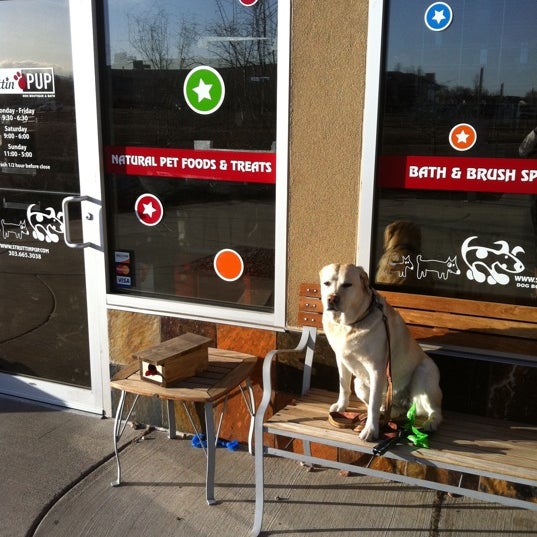 Struttin Pup - 2850 Arapahoe Rd