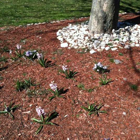 Photos at Chauncey O. Simpson Memorial Rest Area - 20 tips