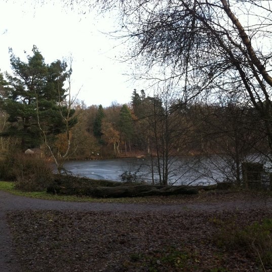 Buchan Country Park - Park in Crawley