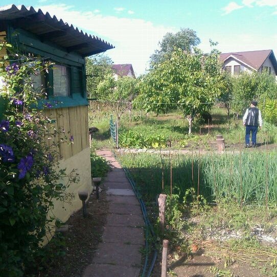 La mosie - 1 tip from 6 visitors