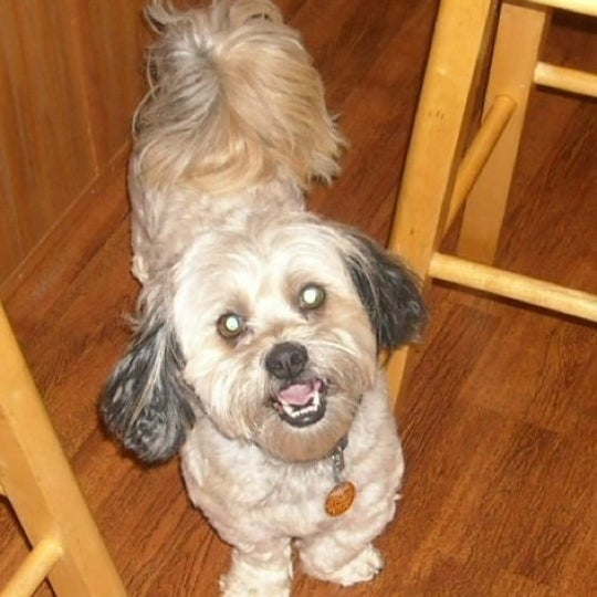 Photos at Gordon Palmer Hall - College Academic Building in Tuscaloosa