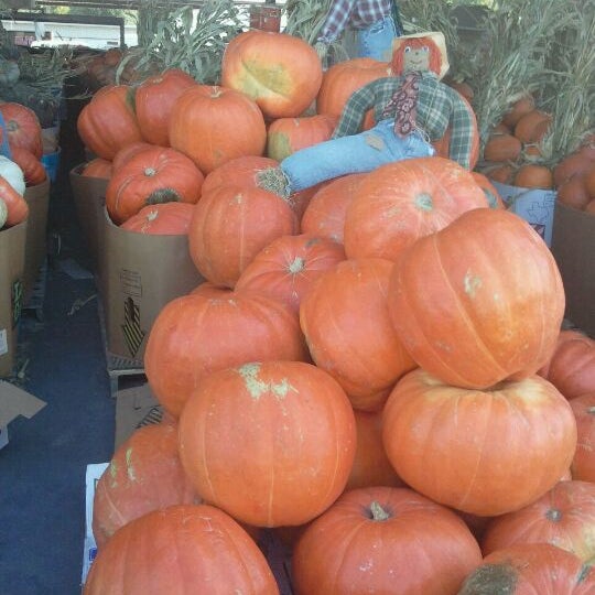 Photos at Canino Produce Co. - Farmers Market
