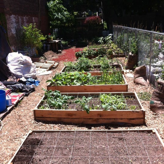 A Small Green Patch - Garden in Boerum Hill