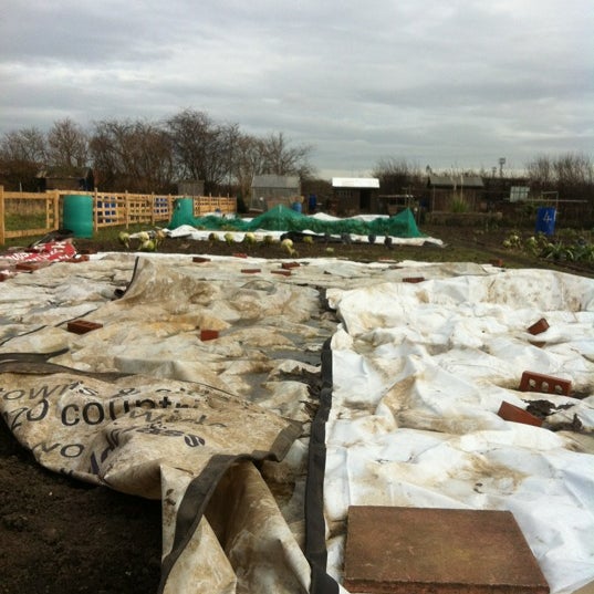 Marfleet Allotments - Marfleet - Marfleet Lane