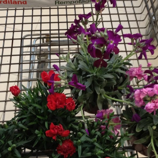 Jardiland - Gavà, Cataluña