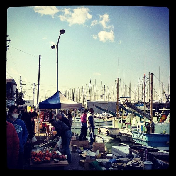 Photos at 葉山マリーナ (HAYAMA MARINA) - Harbor / Marina in Hayama