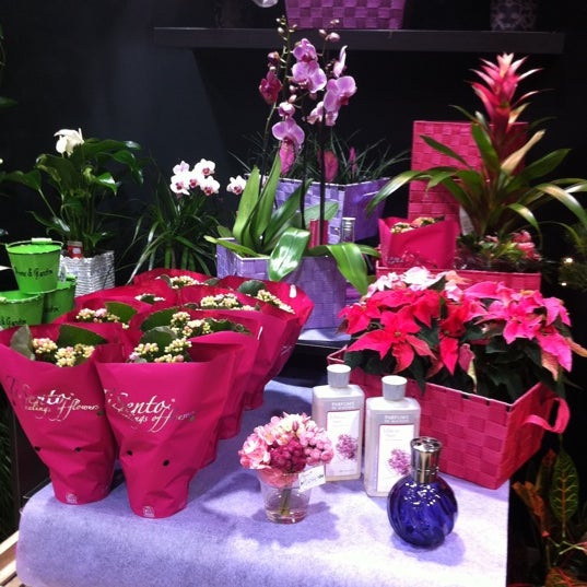 Cultura De Flor - Flower Store