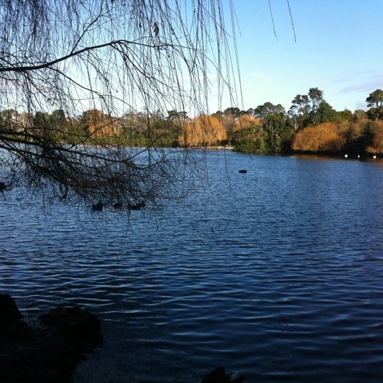 Western Springs Park - Western Springs - 731 Great North Rd