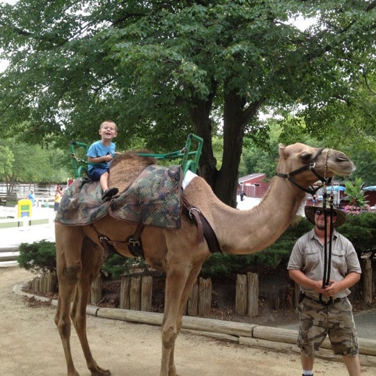 Milwaukee County Zoo Camel Ride