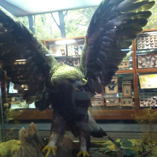 Cooks Museum of Natural Science - Decatur, AL