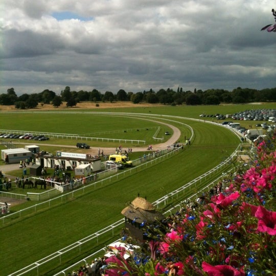 York Racecourse - 14 tips